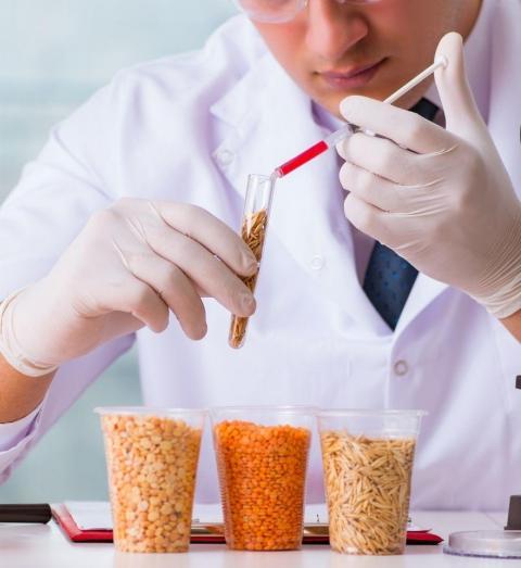 RSE, une démarche tournée vers un modèle alimentaire durable